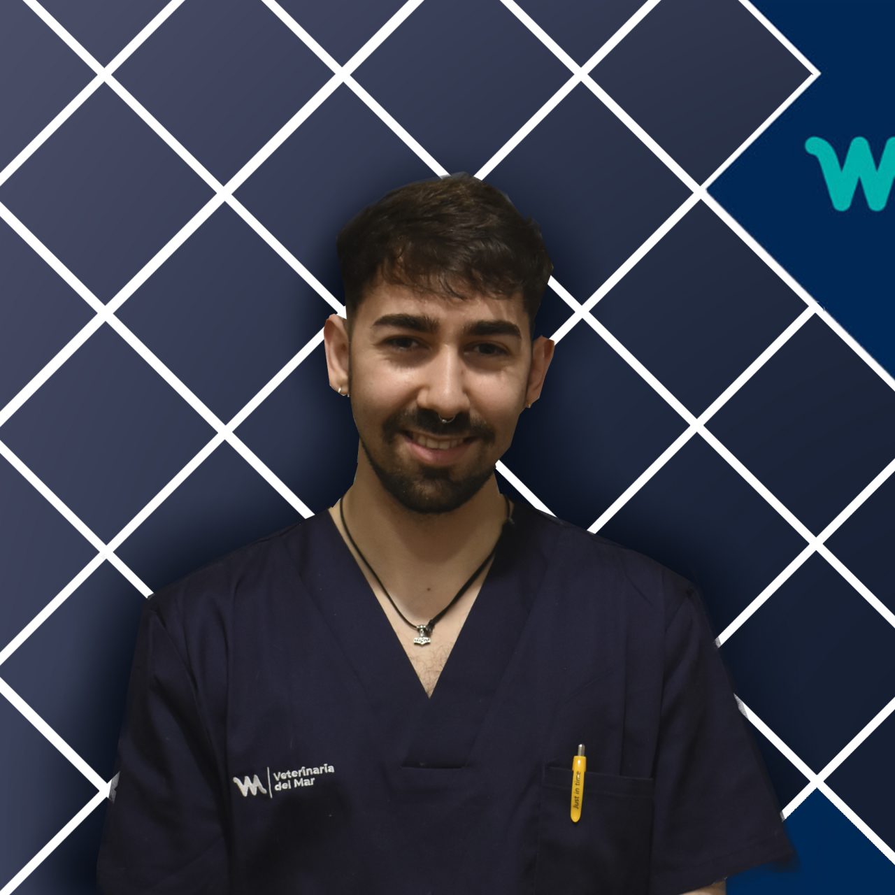 Equipo veterinario | Veterinarios Especialistas Hospital Veterinario ...